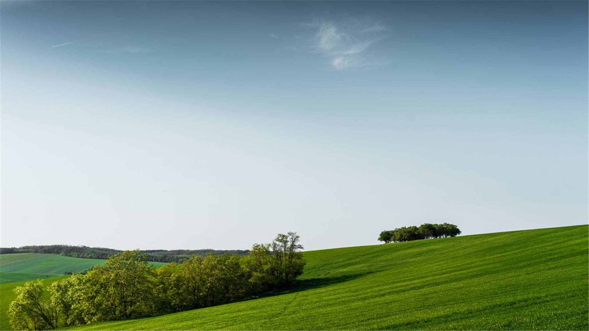 最护眼的电脑壁纸-千图网